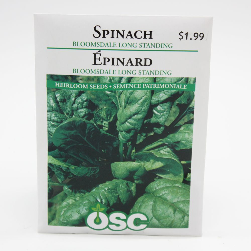 Spinach - Bloomsdale Long Standing - Lake of Bays Garden Centre