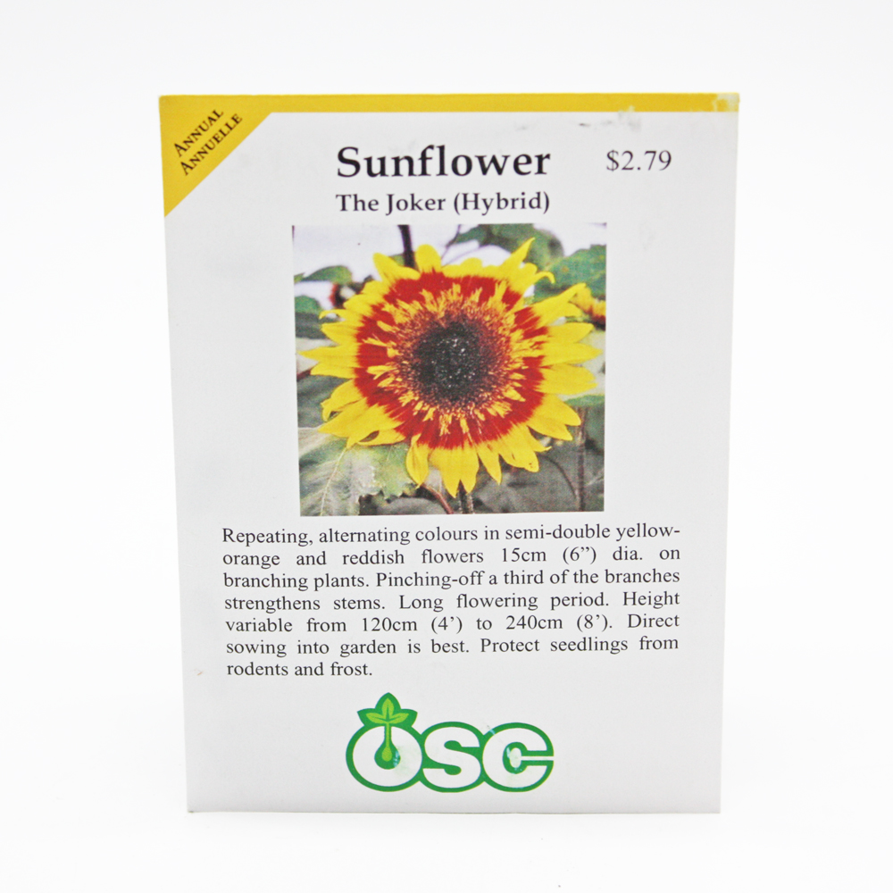 Sunflower - The Joker (Hybrid) - Lake of Bays Garden Centre